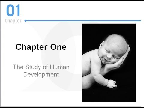Overview of Developmental Psychology | Digestly